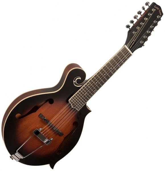 Gold tone mandolin - Pay cheap for your instrument - Star's Music