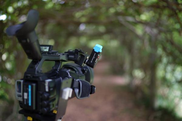 Sennheiser EKP AVX Wireless receiver