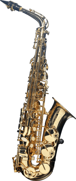 Sml alto saxophone - Pay cheap for your instrument - Star's Music