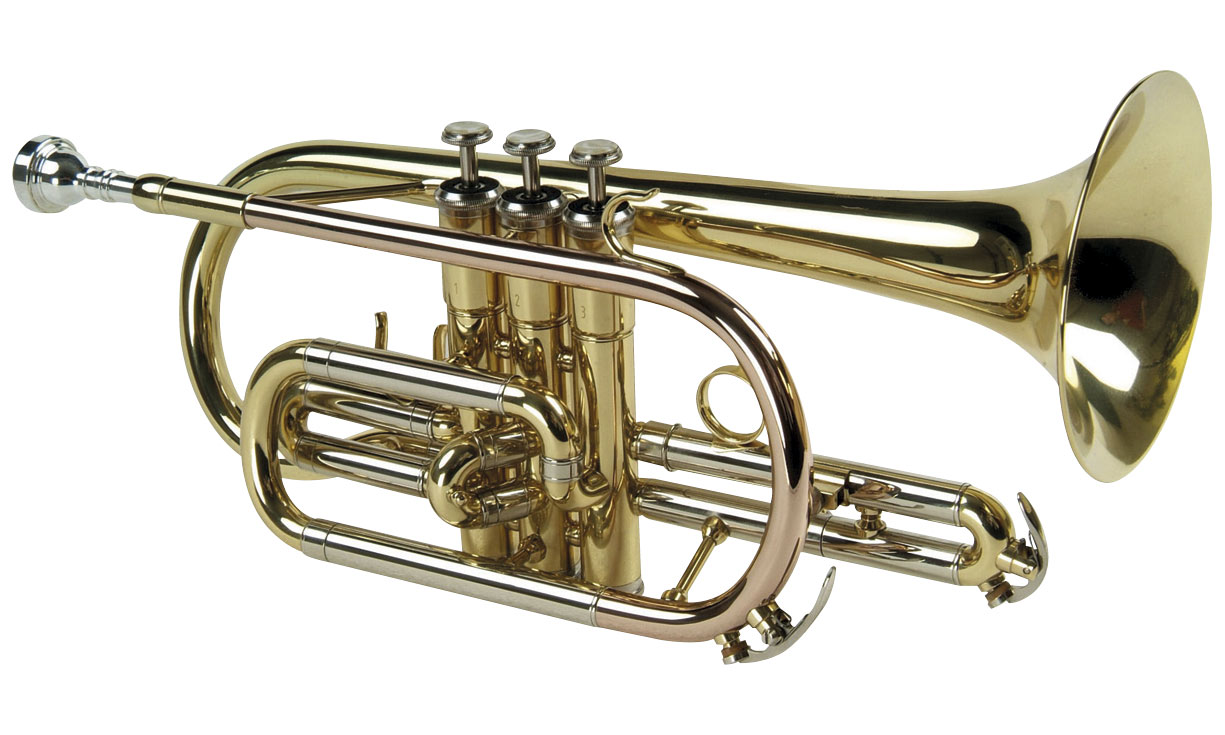 Sml CO50 Cornet of study