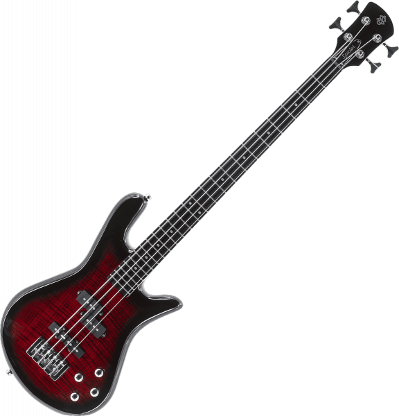 Spector guitar & bass - Pay cheap for your instrument - Star's Music