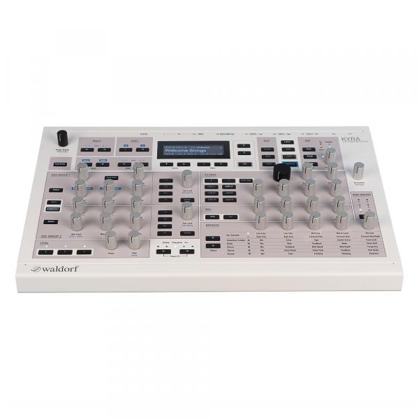 Waldorf expander - Pay cheap for your instrument - Star's Music